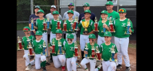 Nottingham Little League > Home